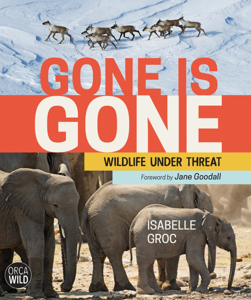 GONE IS GONE book released September 2019 - Isabelle Groc